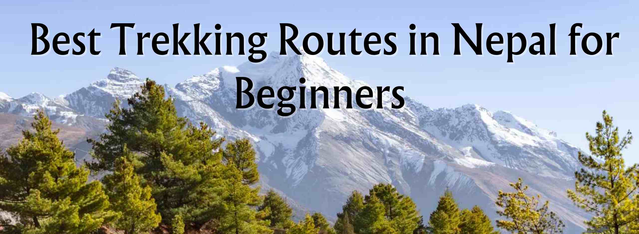 What Are the Best Trekking Routes in Nepal for Beginners